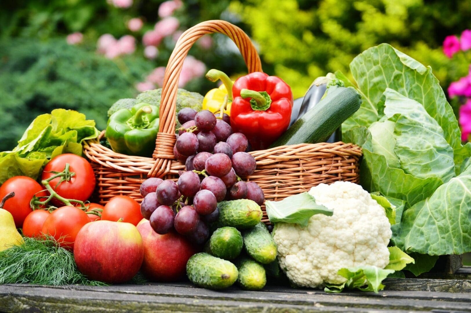 Sustainable Urban Farming – Newark Community Food System